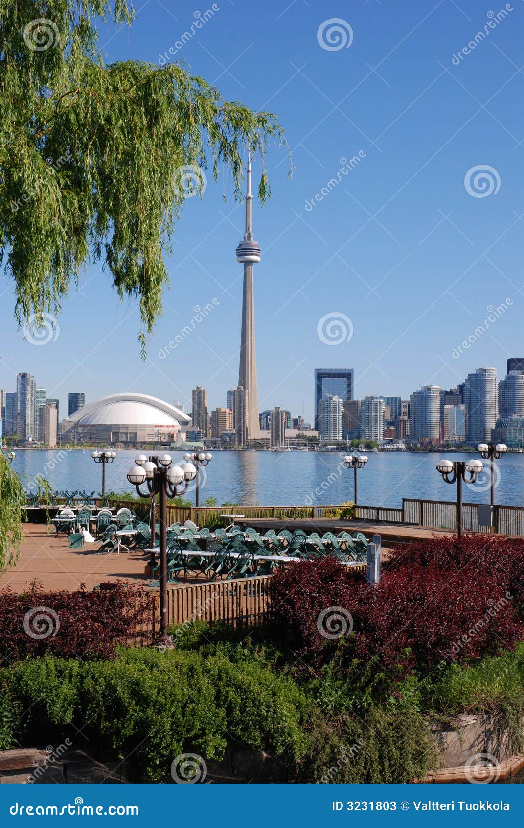 Toronto-Stadt-Zeile stockbild. Bild von stadt, mitte, ansicht - 3231803
