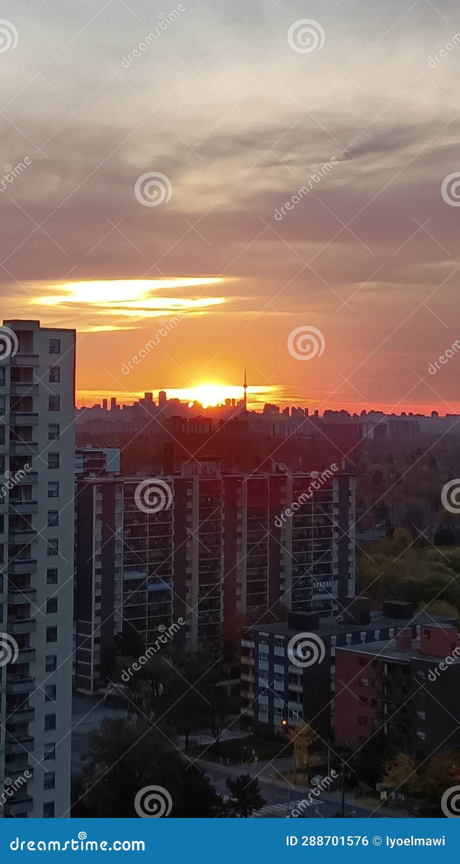 Toronto sunrice stock photo. Image of downtown, street - 288701576