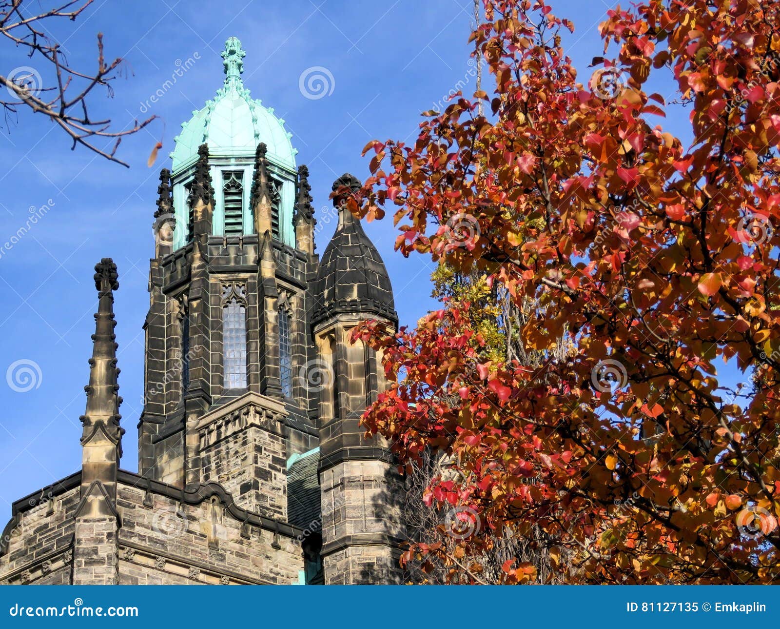 Toronto University Trinity College Tower and Tree 2016 Stock Image ...