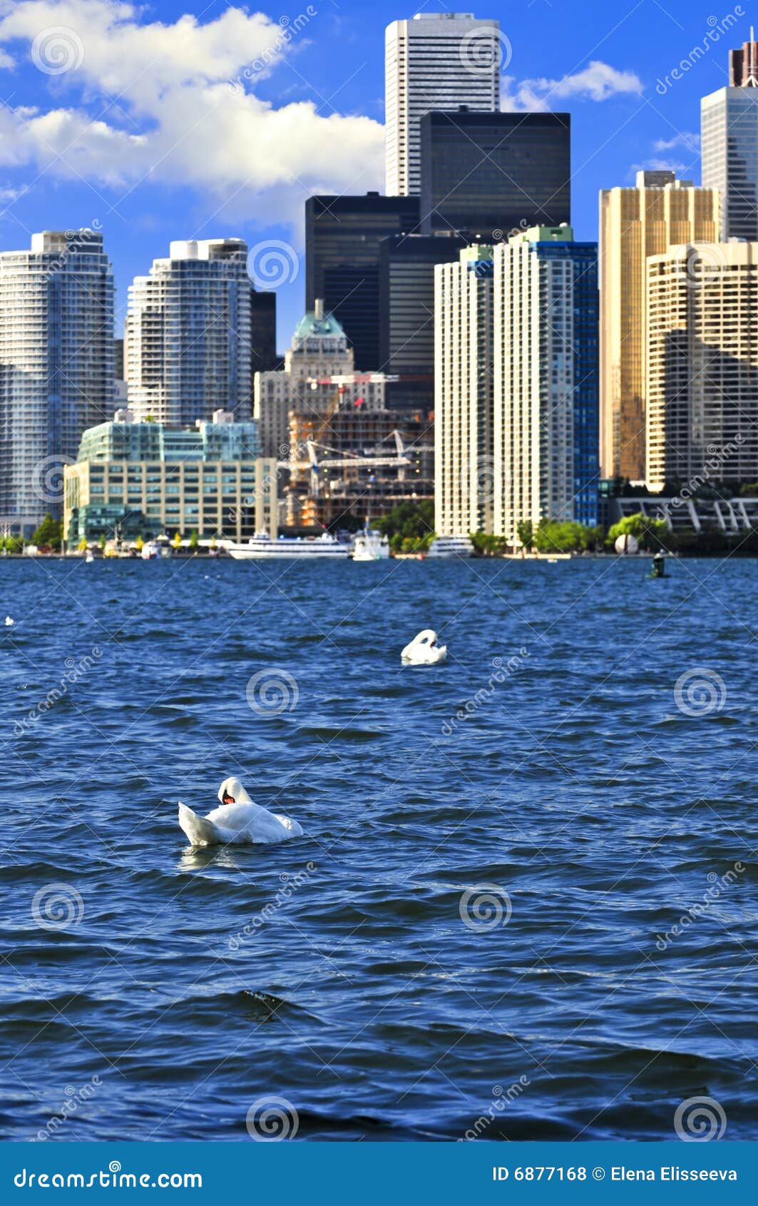 Toronto waterfront stock photo. Image of buildings, highrises - 6877168
