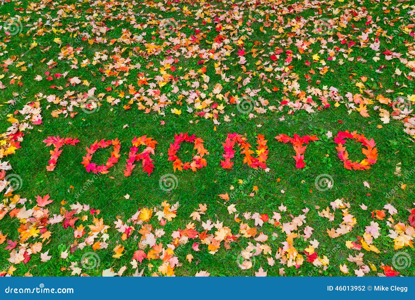 Toronto stock photo. Image of pink, text, multi, ground - 46013952