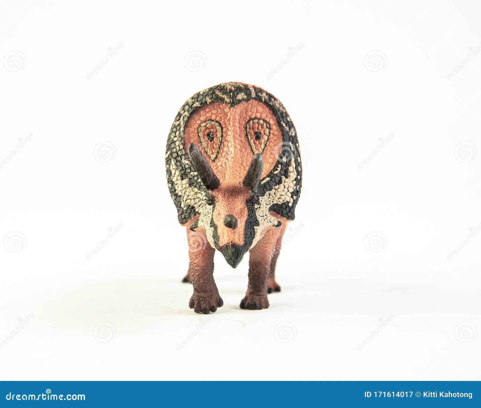 Torosauro , Dinosaurio De Fondo Blanco Imagen de archivo - Imagen de ...