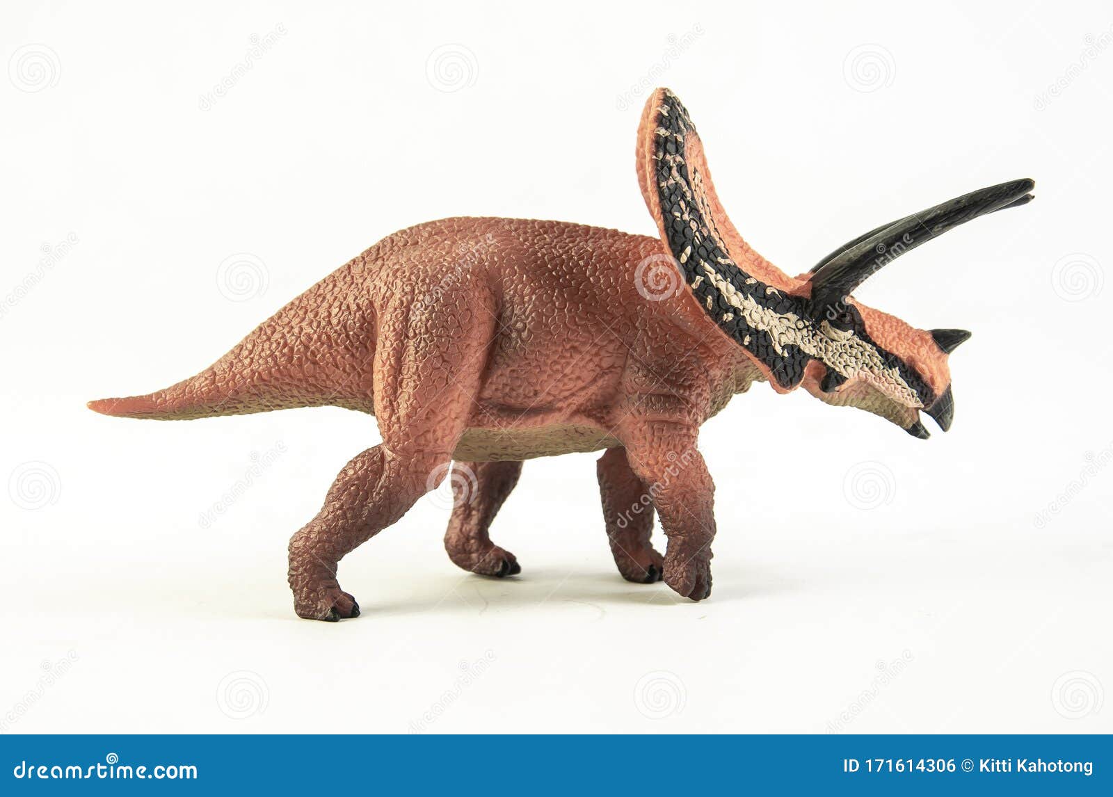 Torosauro , Dinosaurio De Fondo Blanco Foto de archivo - Imagen de ...