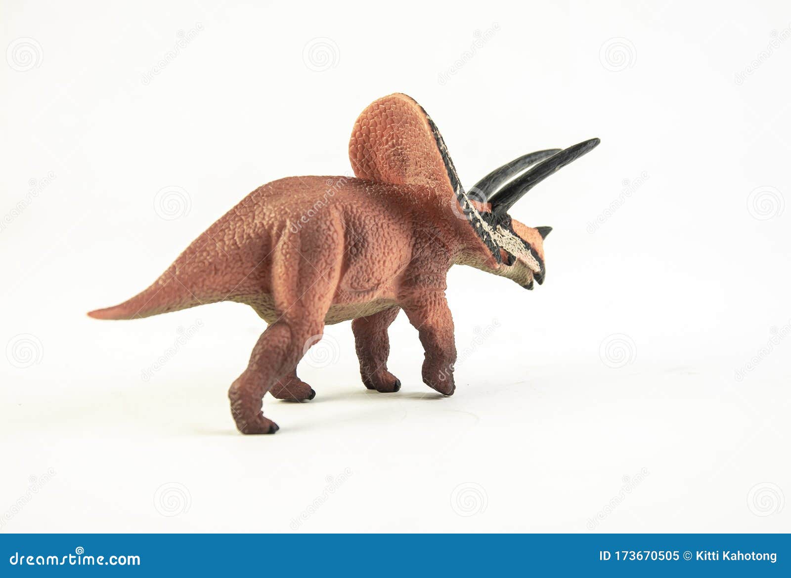 Torosauro , Dinosaurio Sobre Fondo Blanco Imagen de archivo - Imagen de ...