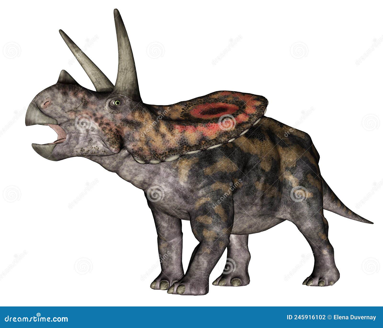 Torosaurus Dinosaur Ancient Vector Illustration Transparent Background ...