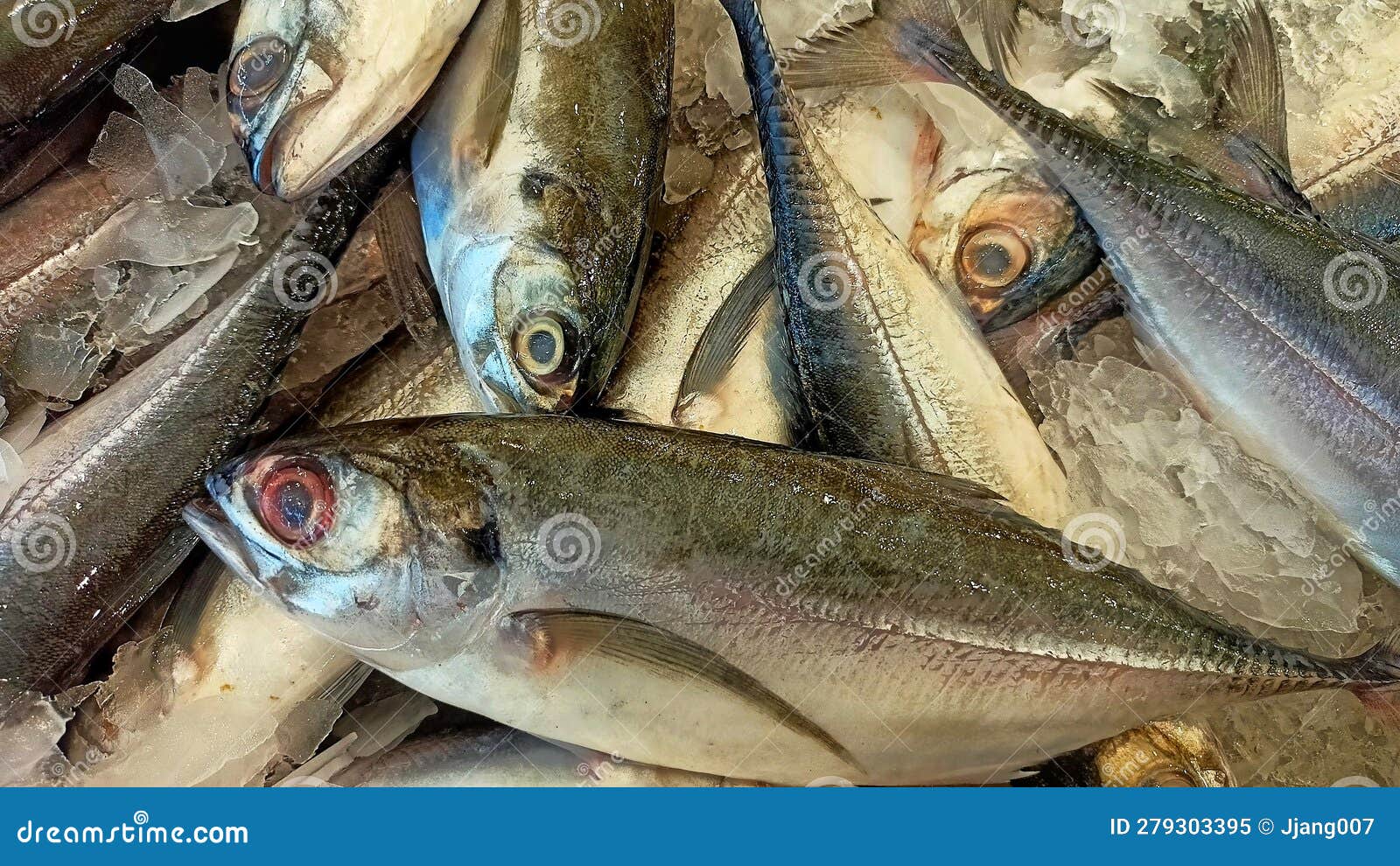 Torpedo Scad Fresh Fish at Market Stock Image - Image of scad, torpedo ...
