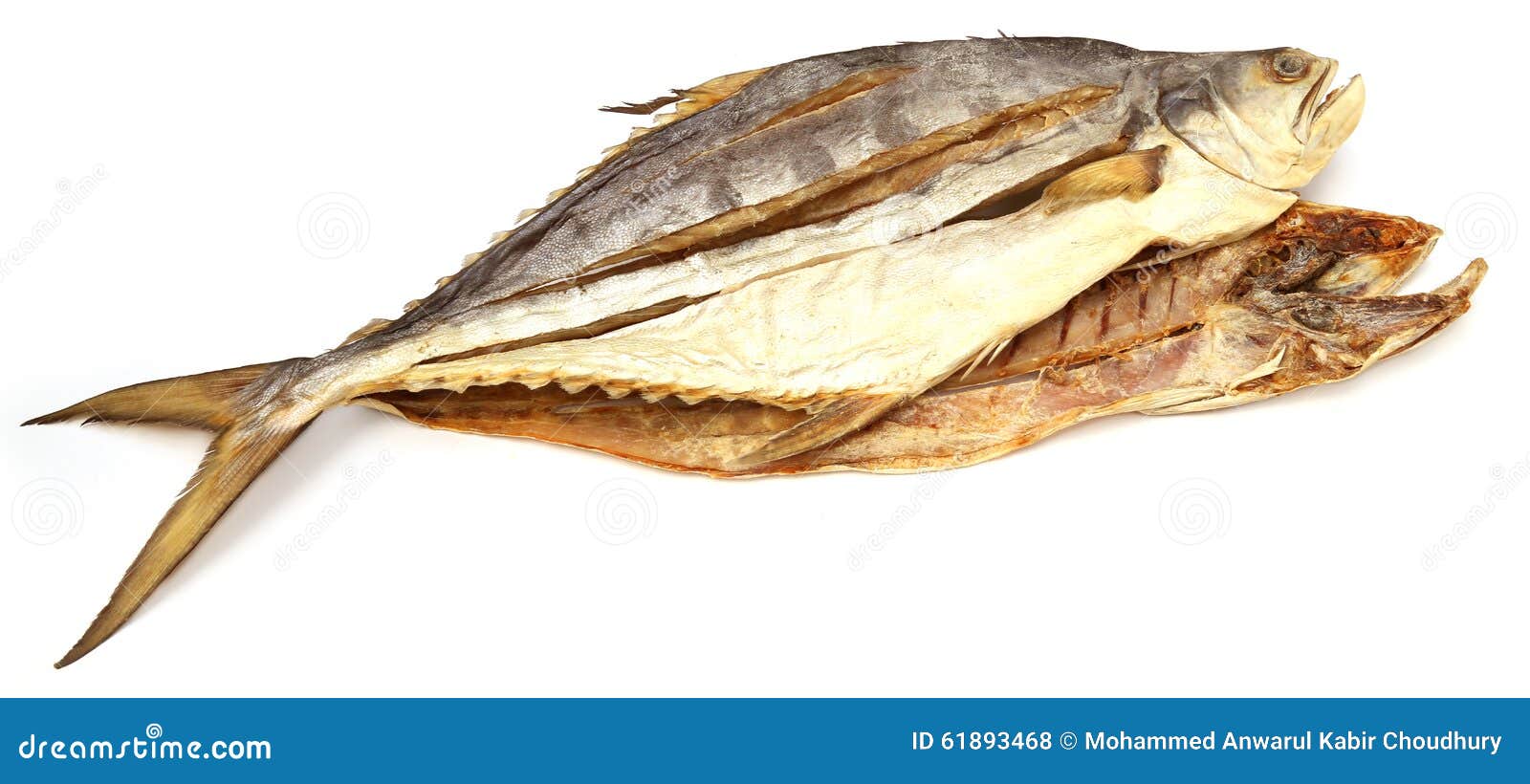 Torr tonfiskfisk arkivfoto. Bild av tonfisk, torkat, torrt - 61893468