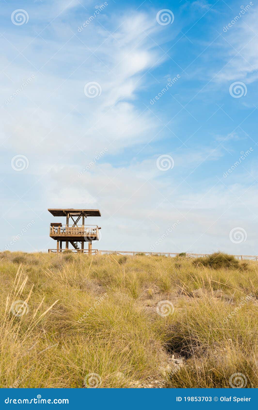 Torre De Vigia Dos Animais Selvagens Imagem de Stock - Imagem de ... Torre De Vigia Dos Animais Selvagens Imagem de Stock - Imagem de ...