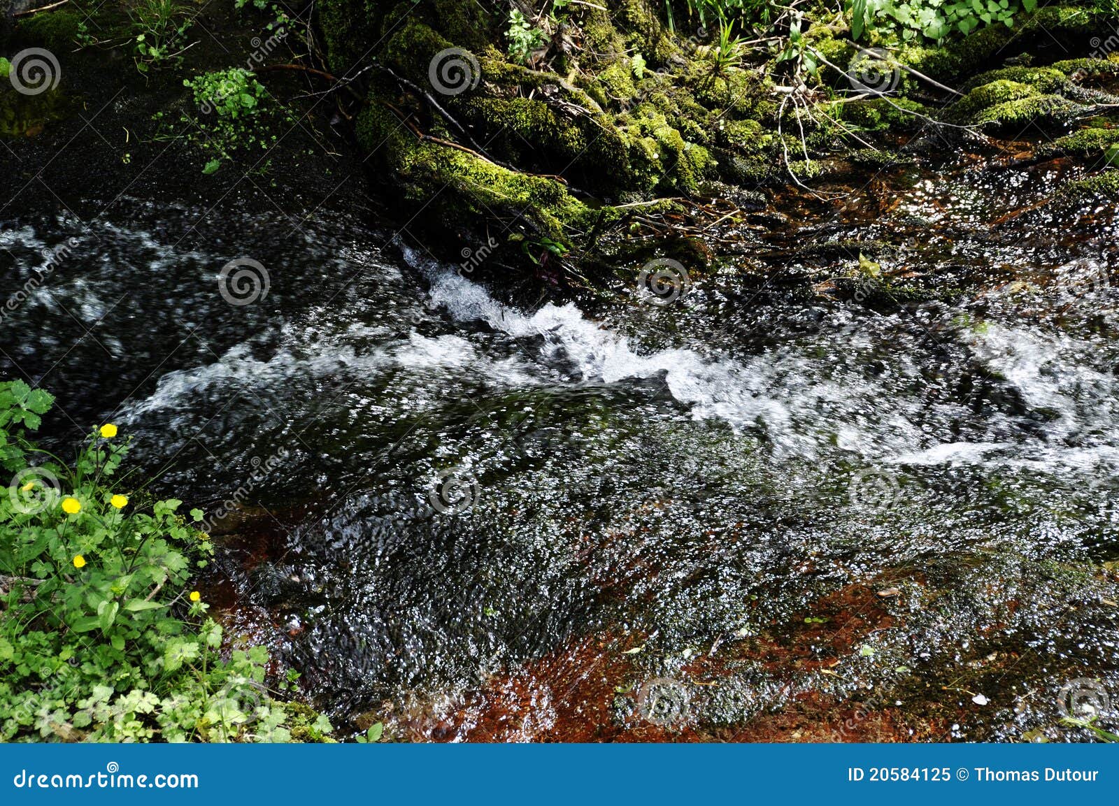 A torrent stock image. Image of purity, beauty, beautiful - 20584125