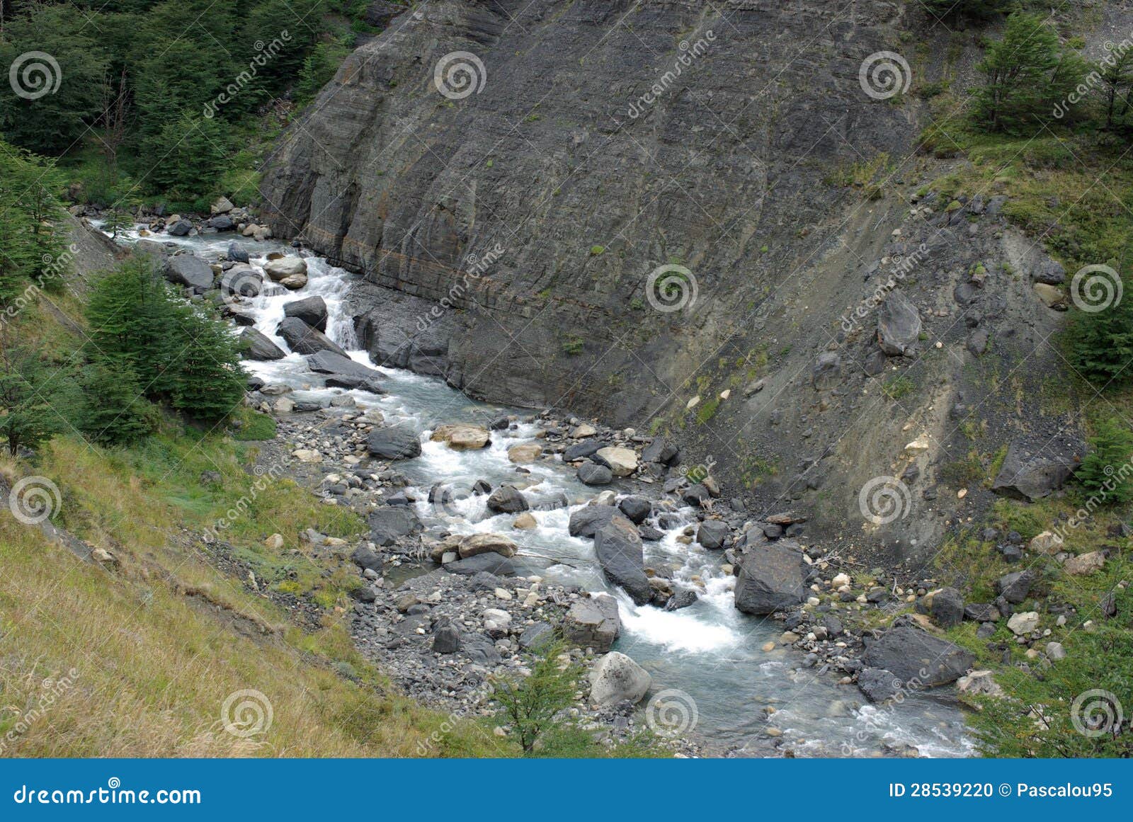 Torrent in Chile stock photo. Image of wilderness, river - 28539220