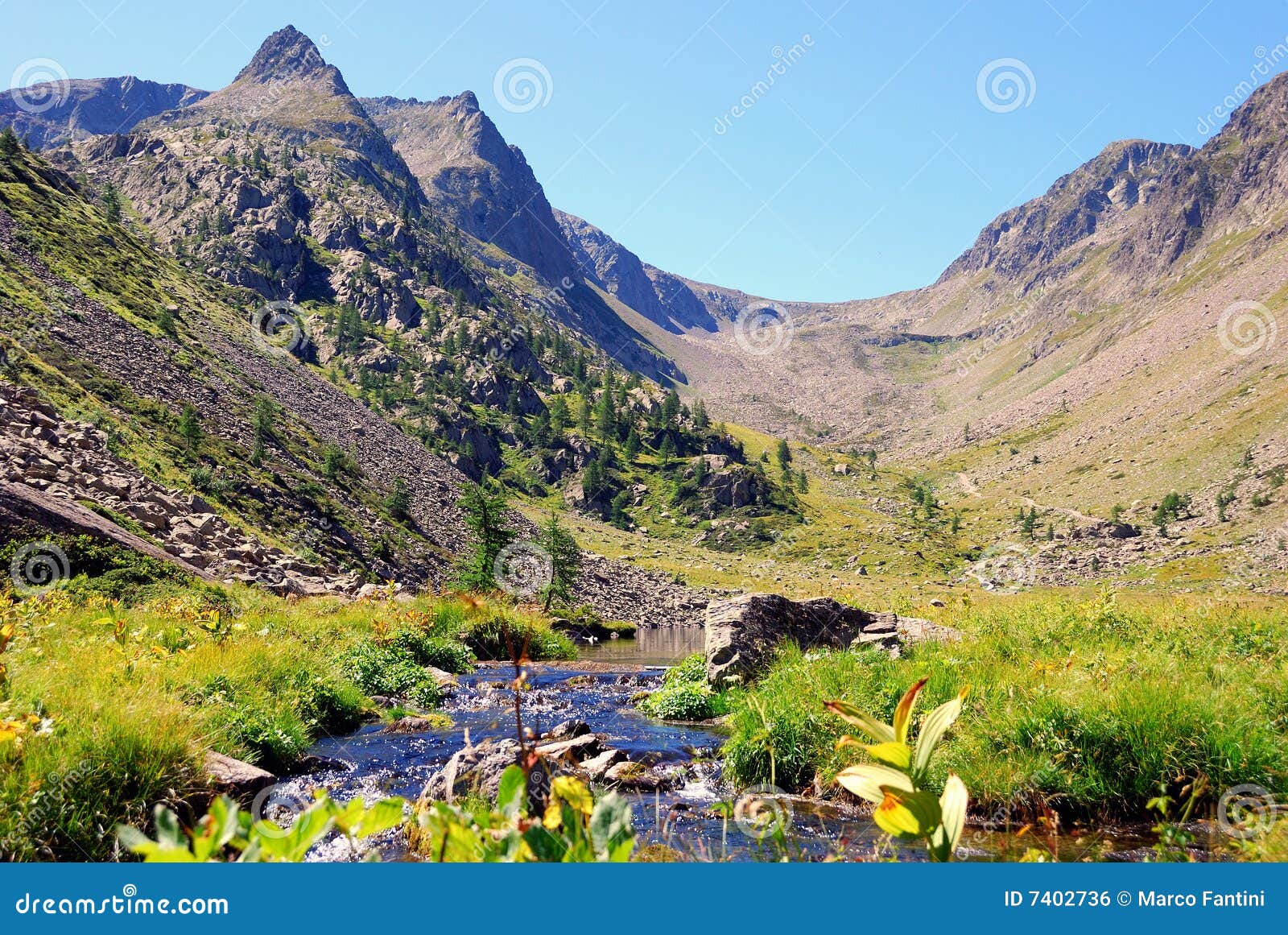 Torrent de montagne photo stock. Image du nature, montagnes - 7402736