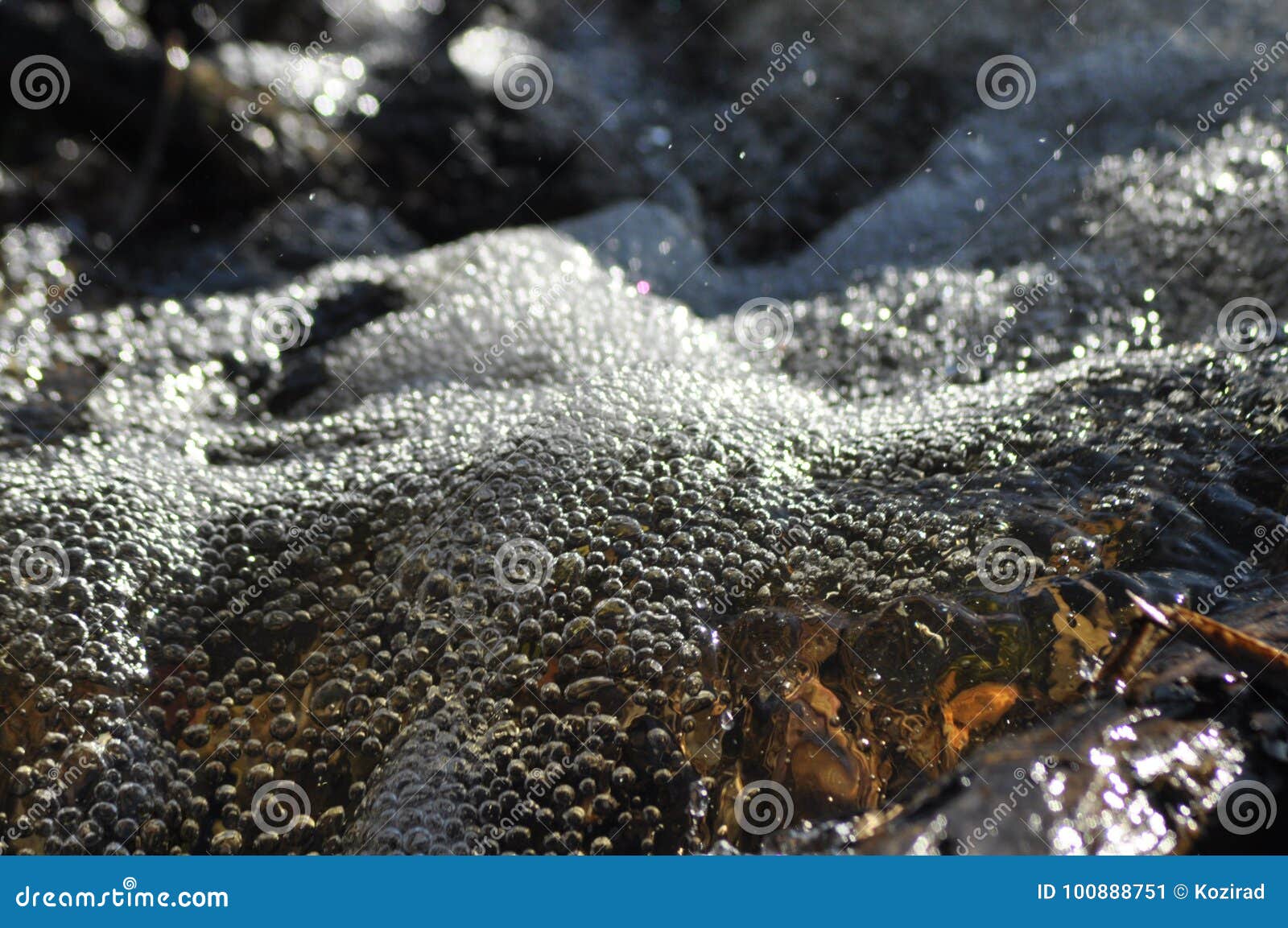 Torrent. Fast Flowing Brook Stock Image - Image of clear, youth: 100888751 Torrent. Fast Flowing Brook Stock Image - Image of clear, youth: 100888751