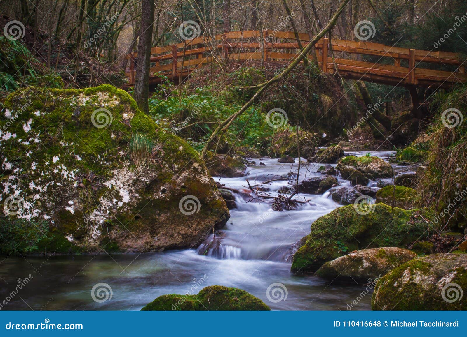 Torrent. stock photo. Image of nature, wild, savage - 110416648