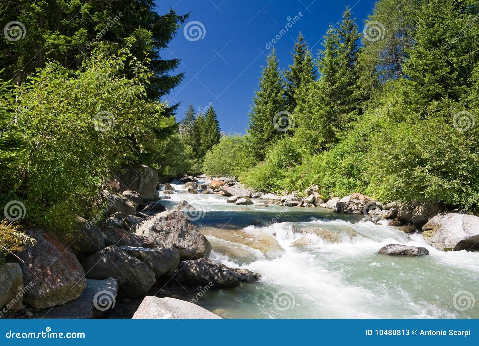 Torrente Vermigliana stock image. Image of forest, plant - 10480813