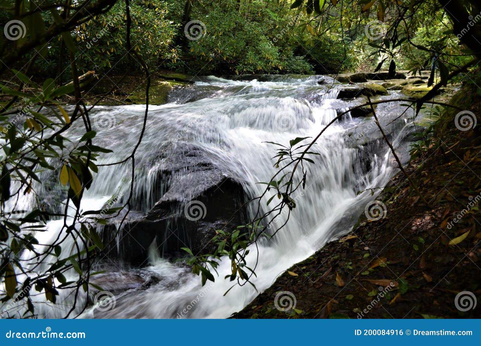 Torrential Waterfall after a Rainstorm Stock Photo - Image of waters ...