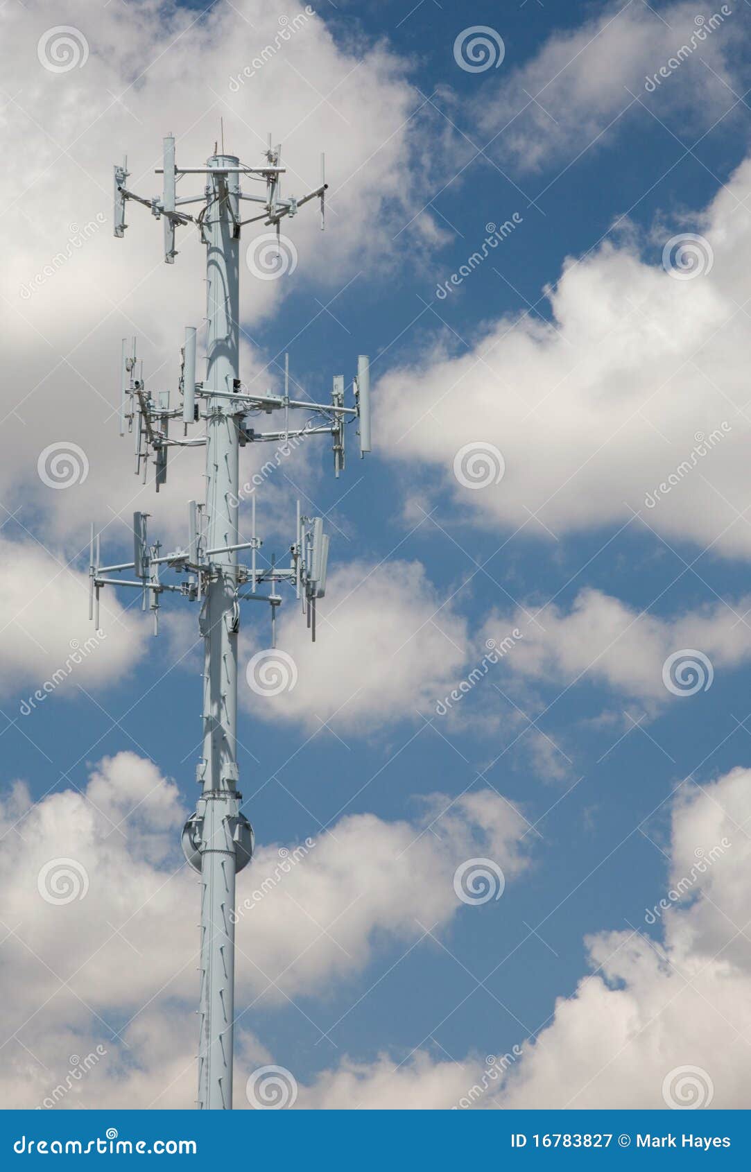 Torretta Di Telecomunicazioni Immagine Stock - Immagine di albero ...