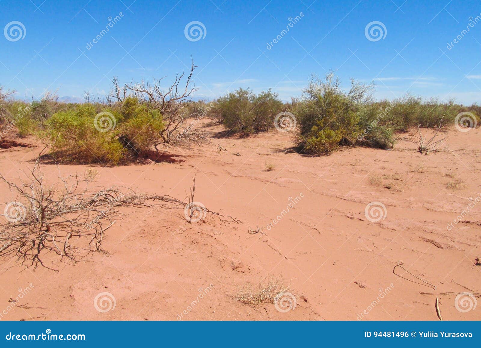 Torrt Träd Och Buskar I öken Arkivfoto - Bild av buskar, härlig: 94481496