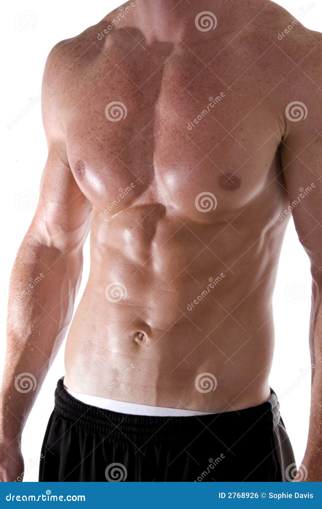 Torse sexy photo stock. Image du culturisme, santé, construit - 2768926