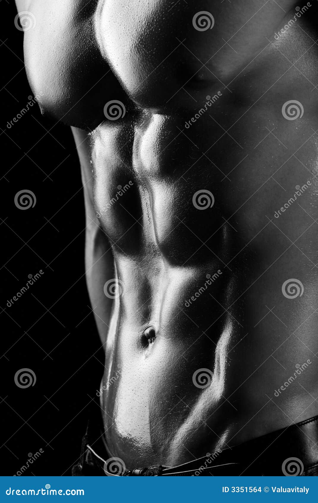 Torso stock photo. Image of young, health, beautiful, strength - 3351564
