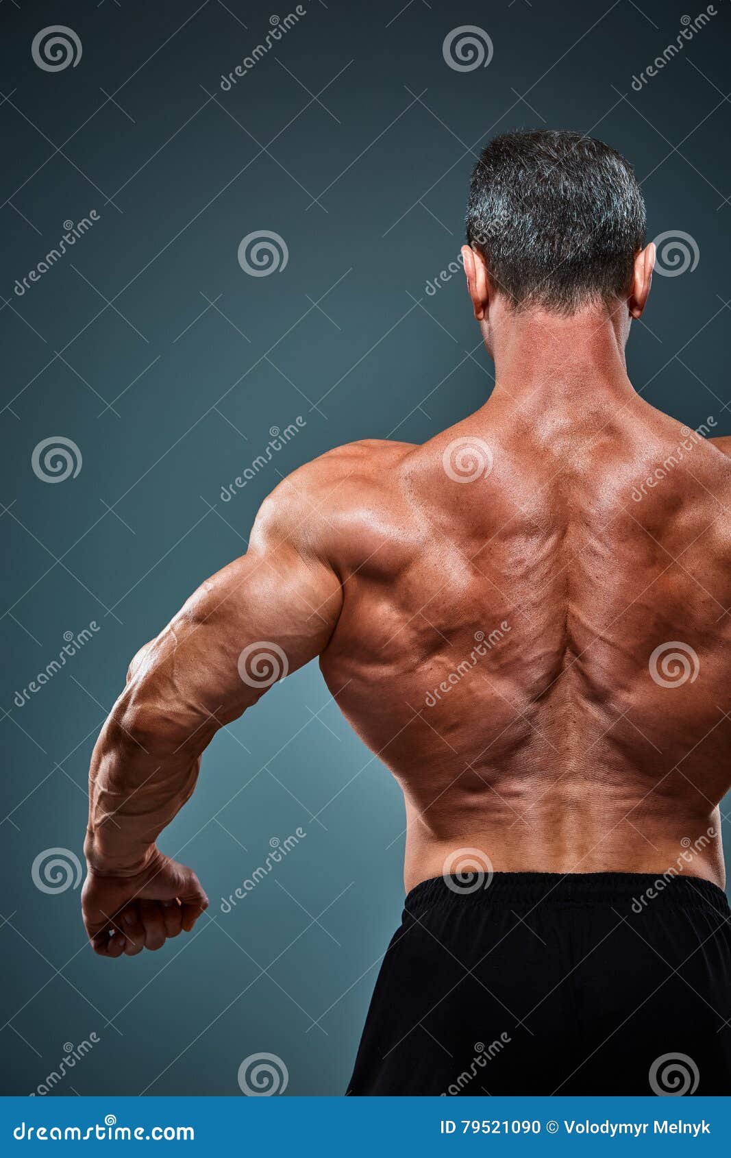 Torso of Attractive Male Body Builder on Gray Background. Stock Photo ...