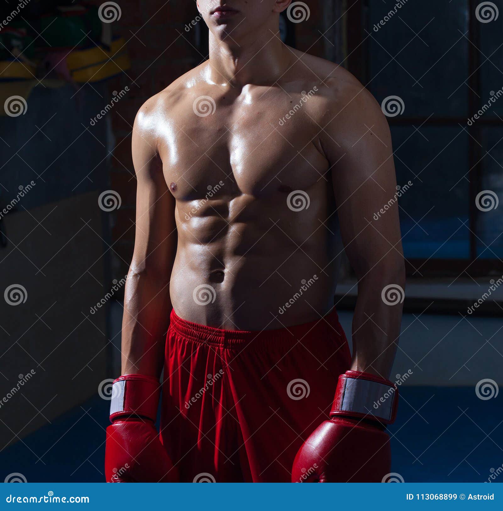 Torso of a boxer stock image. Image of healthy, build - 113068899