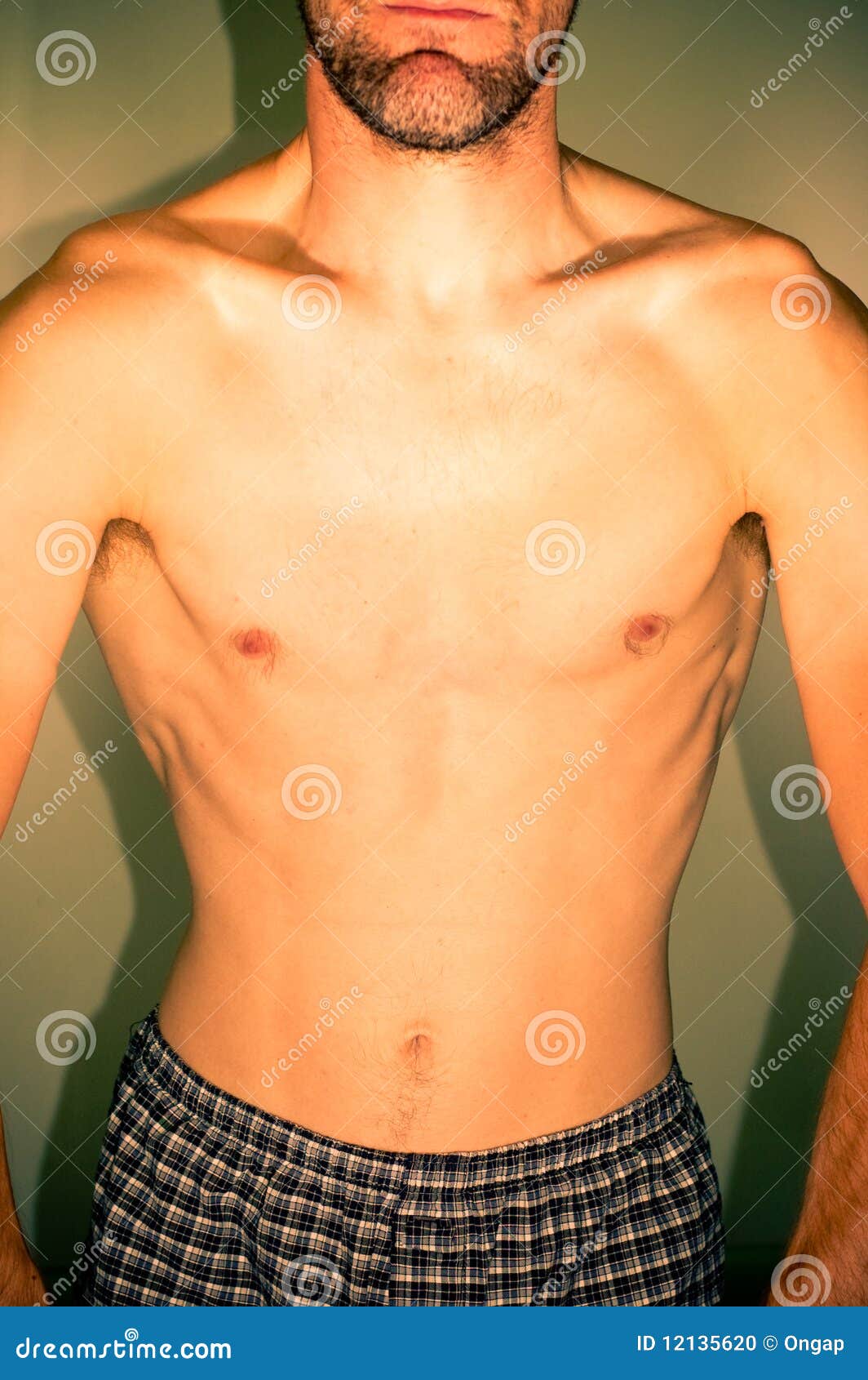 Torso del hombre foto de archivo. Imagen de hombre, barbudo - 12135620