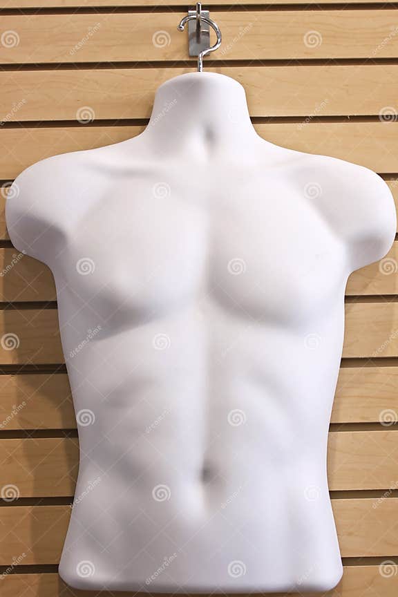 Torso Display stock image. Image of hanging, forms, form - 10697323