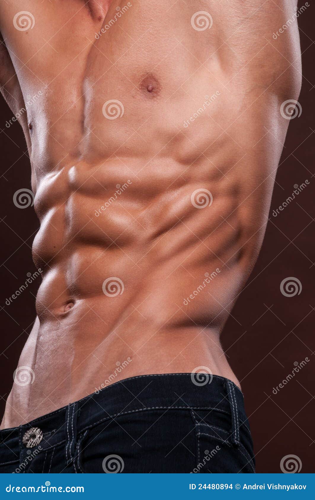 Torso with six pack stock photo. Image of diet, bodybuilder - 24480894