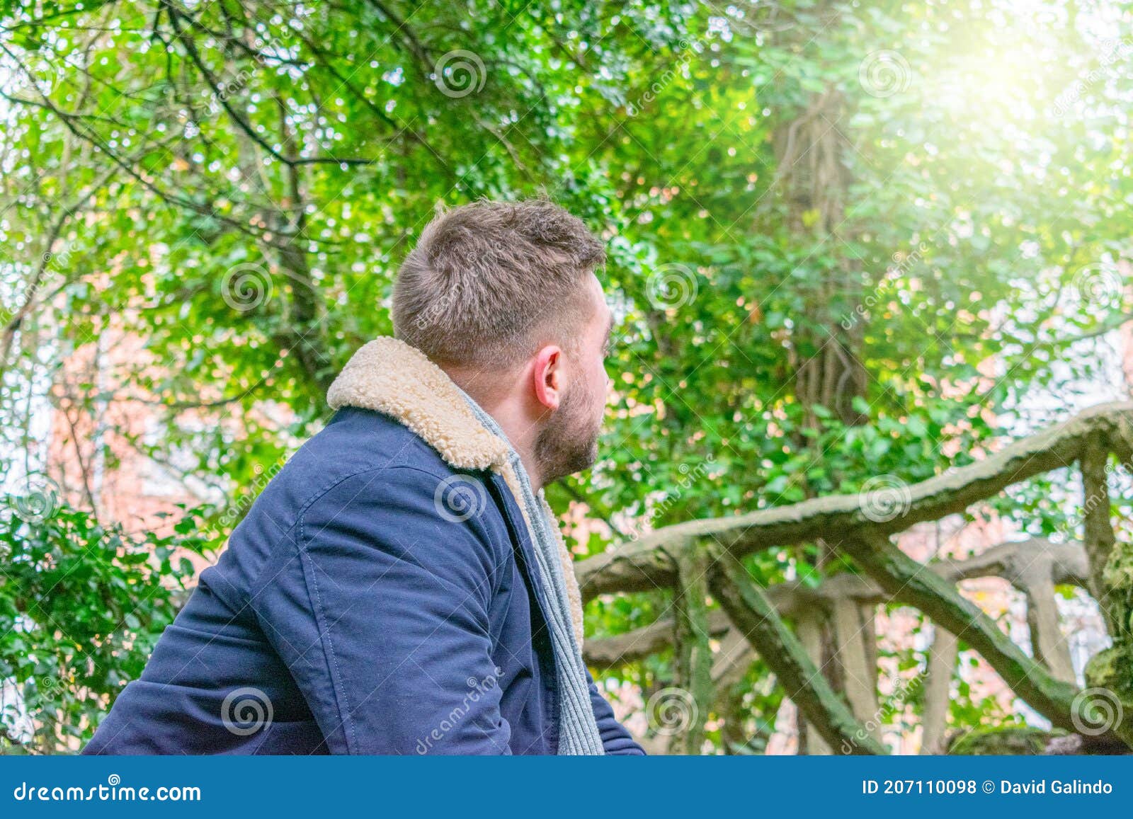 Torso of Young Man Looking into Infinity in a Park Stock Photo - Image ...