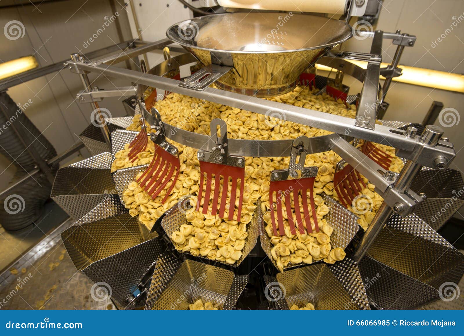 Tortellini Pasta Production Line Stock Image - Image of culture, line ...