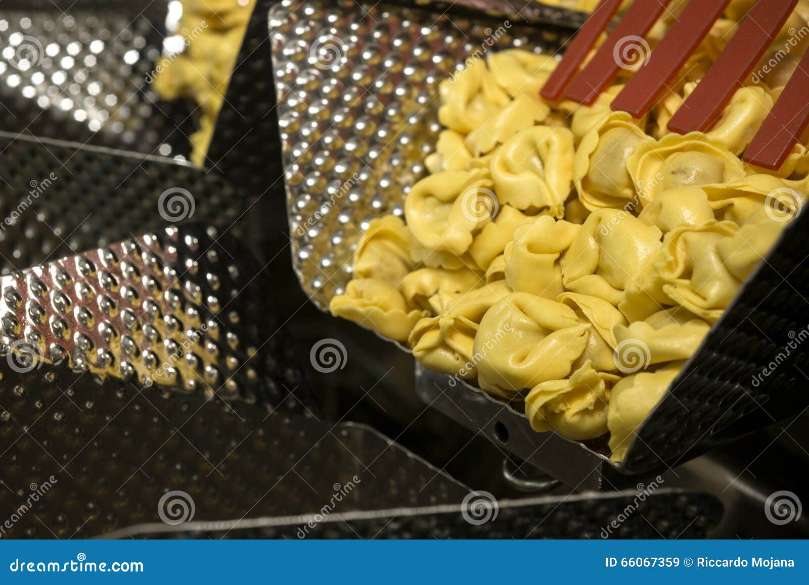Tortellini Pasta Production Line Stock Image - Image of making, motion ...