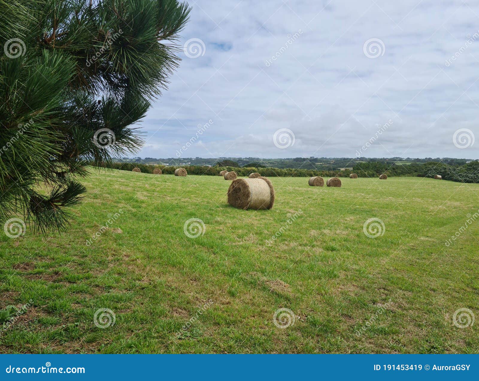 Torteval Fields, Guernsey Channel Islands Stock Image - Image of ...