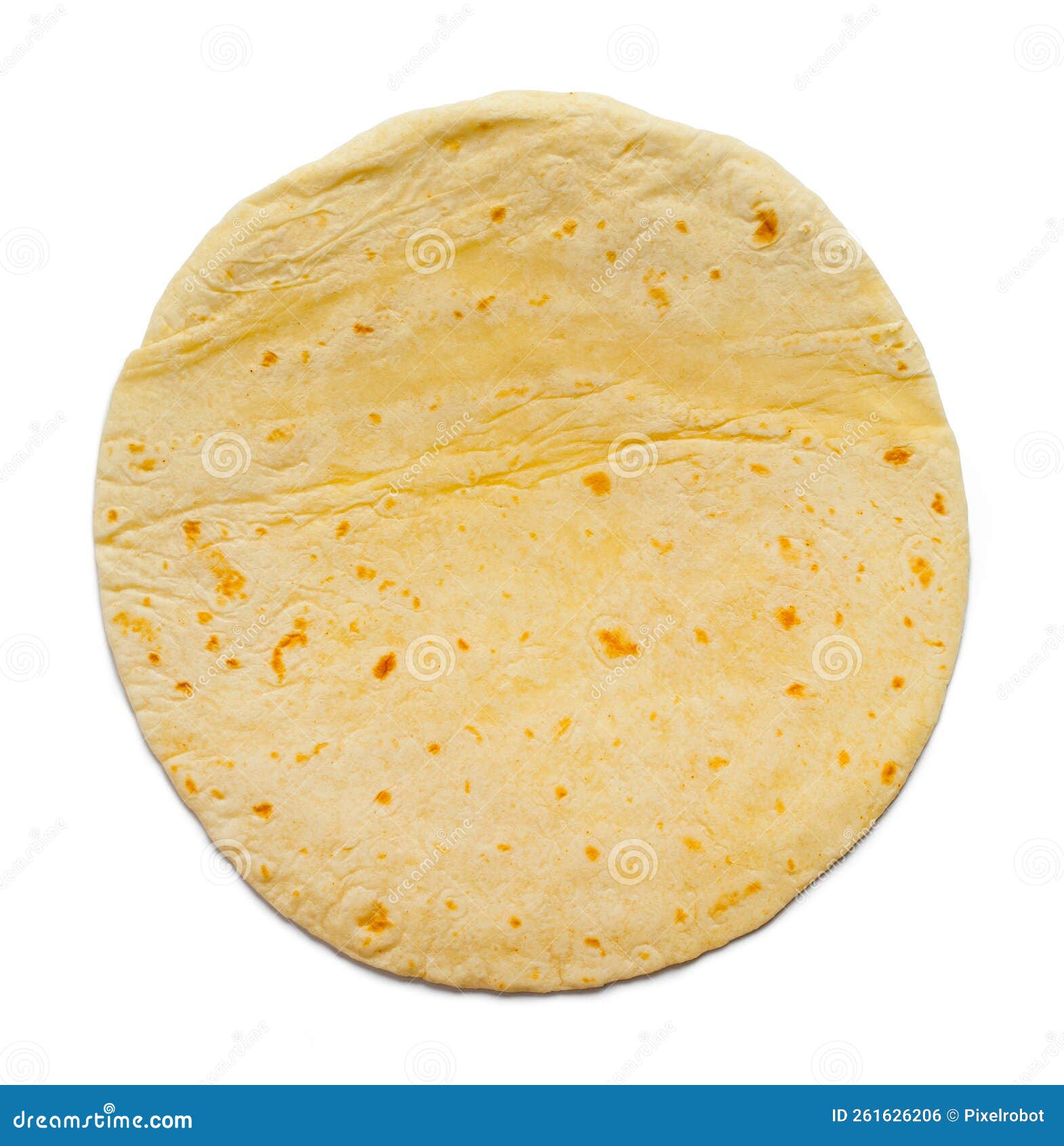 Tortilla stock photo. Image of wrap, baked, food, tortilla - 261626206