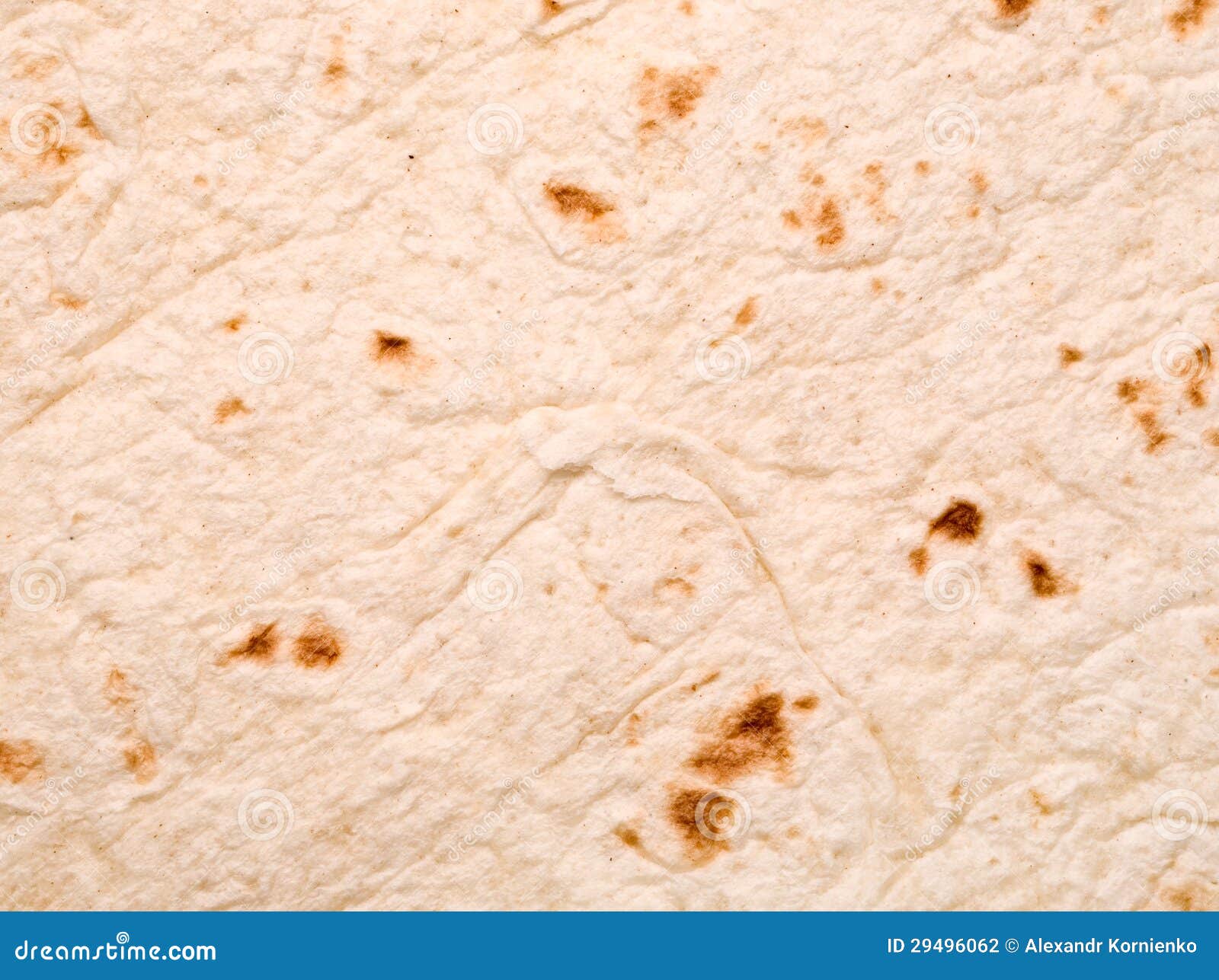 Tortilla texture stock photo. Image of meal, mexico, wrap - 29496062