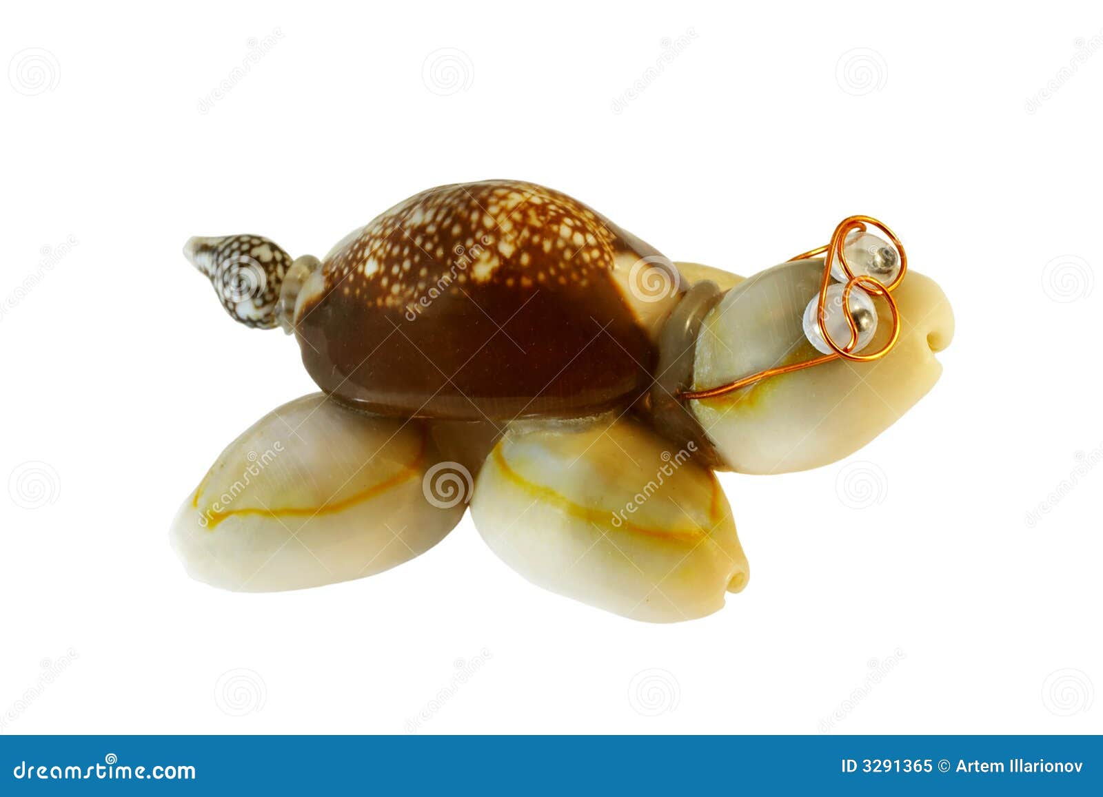 Glasses Shell Turtle Stock Photos - Free & Royalty-Free Stock Photos ...