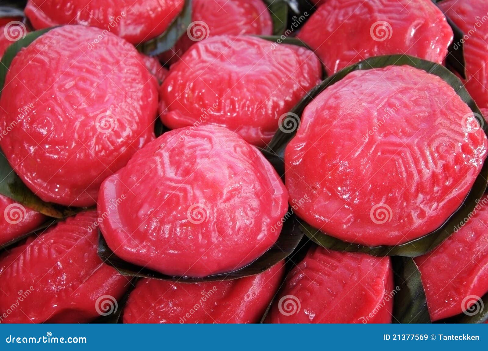Tortoise cakes stock image. Image of shell, breakfast - 21377569