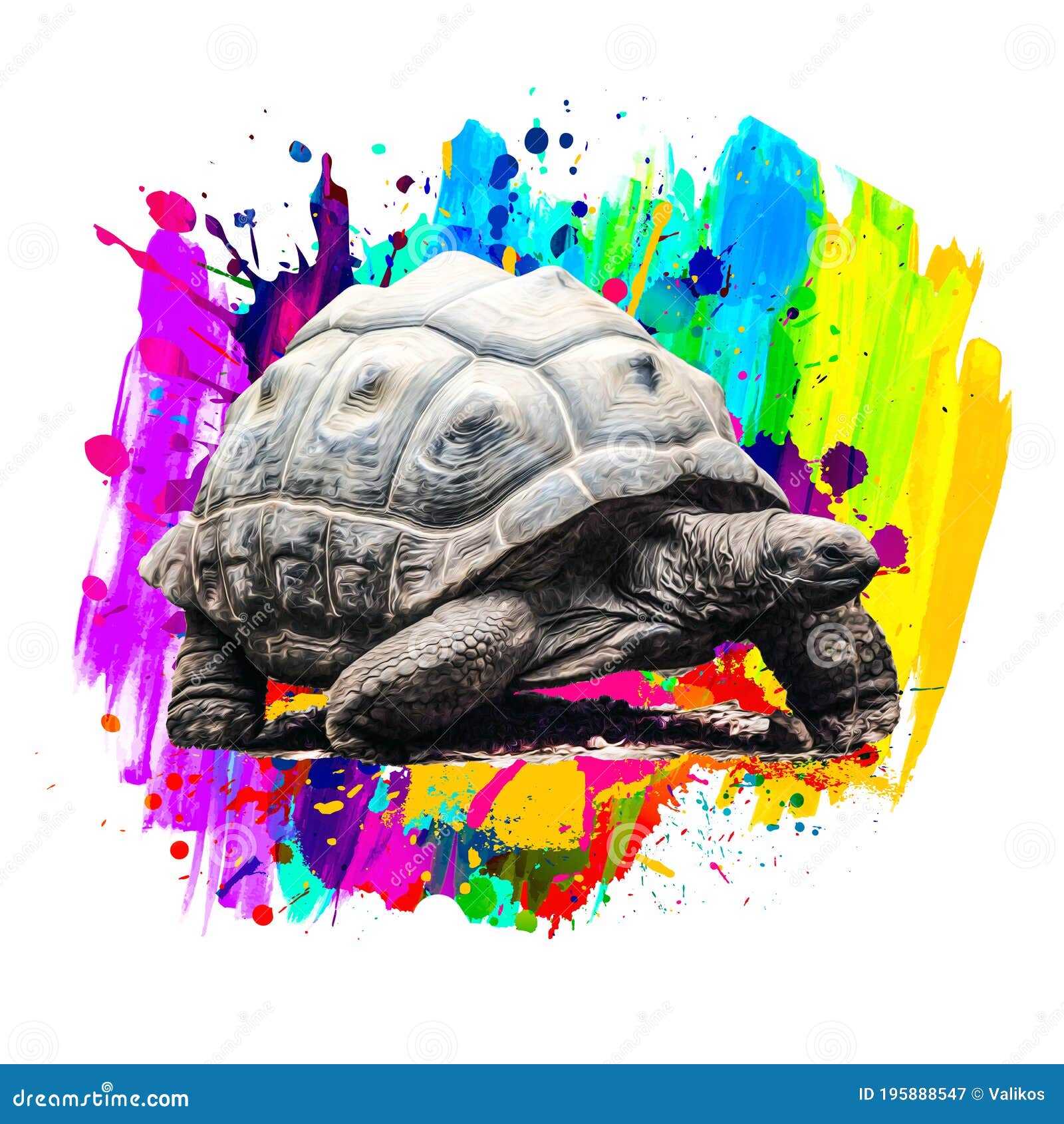 Tortoise with Colorful Paint Splashes Stock Image - Image of slider ...