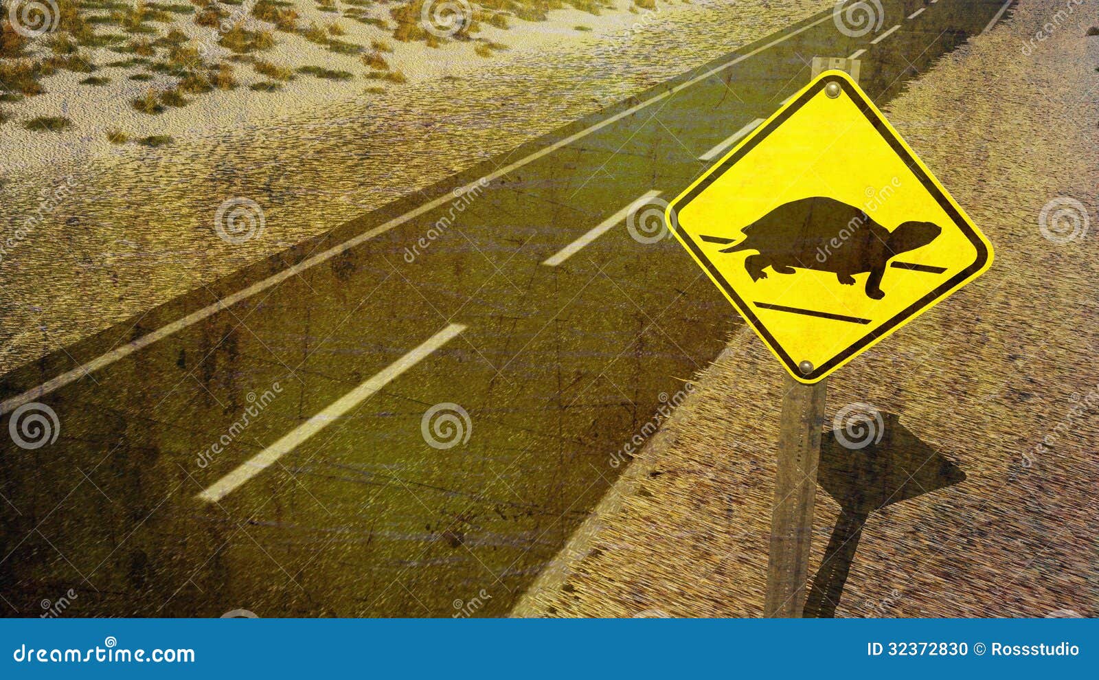Tortoise Crossing Yield Sign in the Desert Stock Photo - Image of warn ...