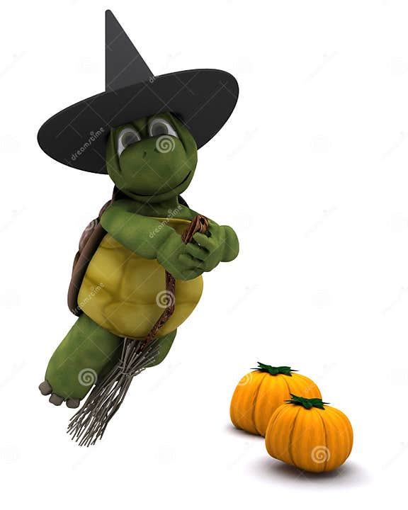 Tortoise Dressed As a Witch for Halloween Stock Illustration ...