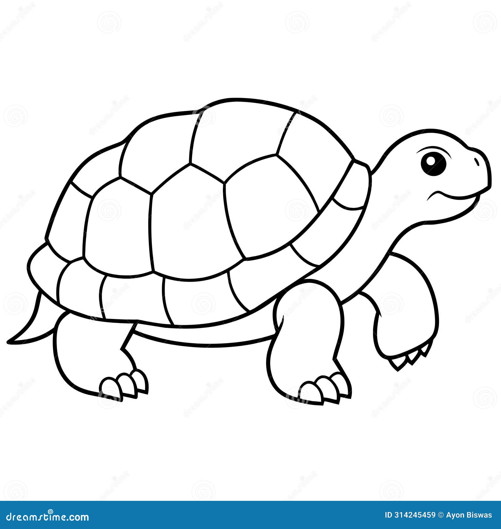 Tortoise Line Art Vector Illustration Stock Vector - Illustration of ...