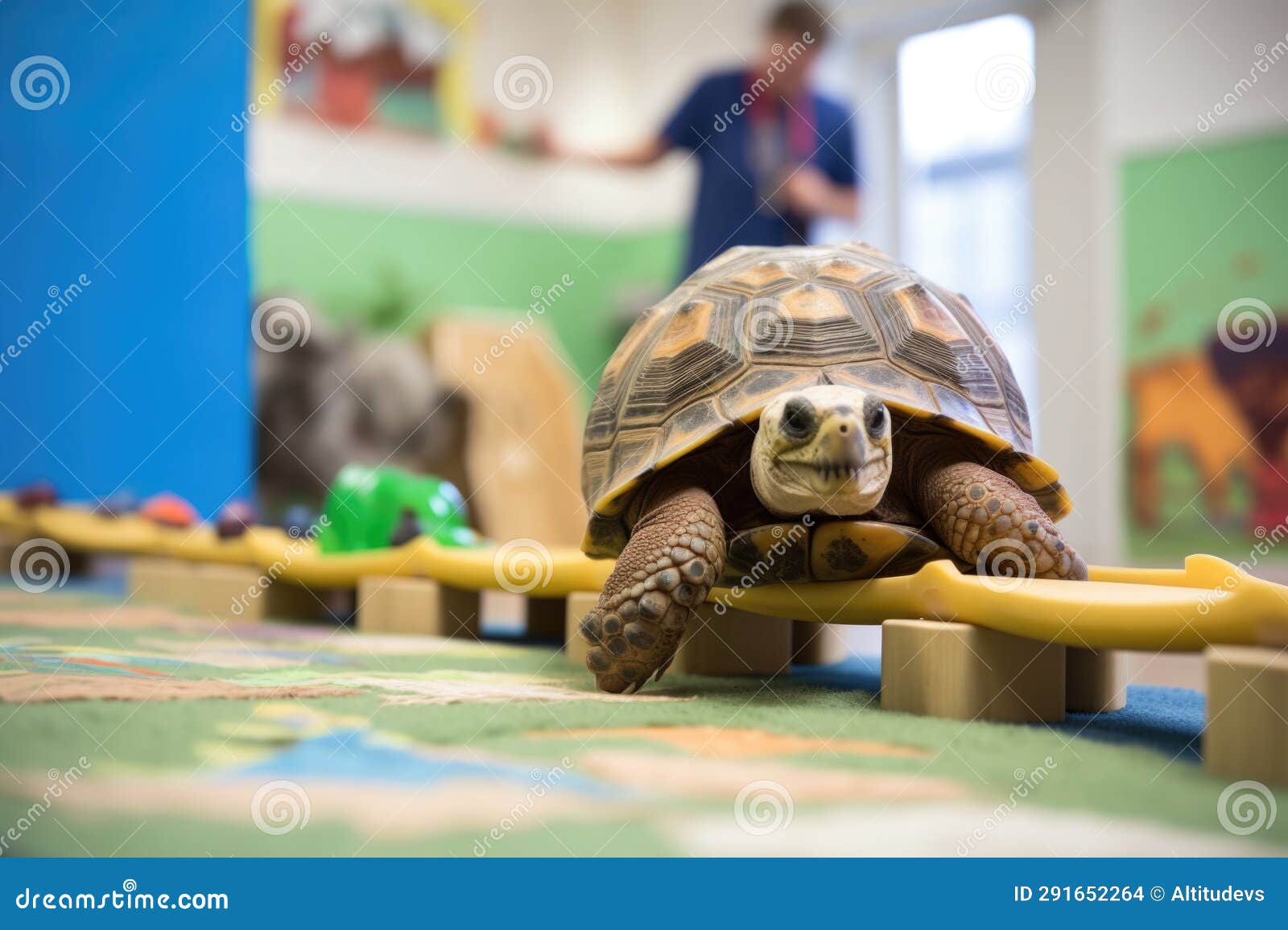 Tortoise Navigating an Indoor Obstacle Course in Pet Therapy Setting ...