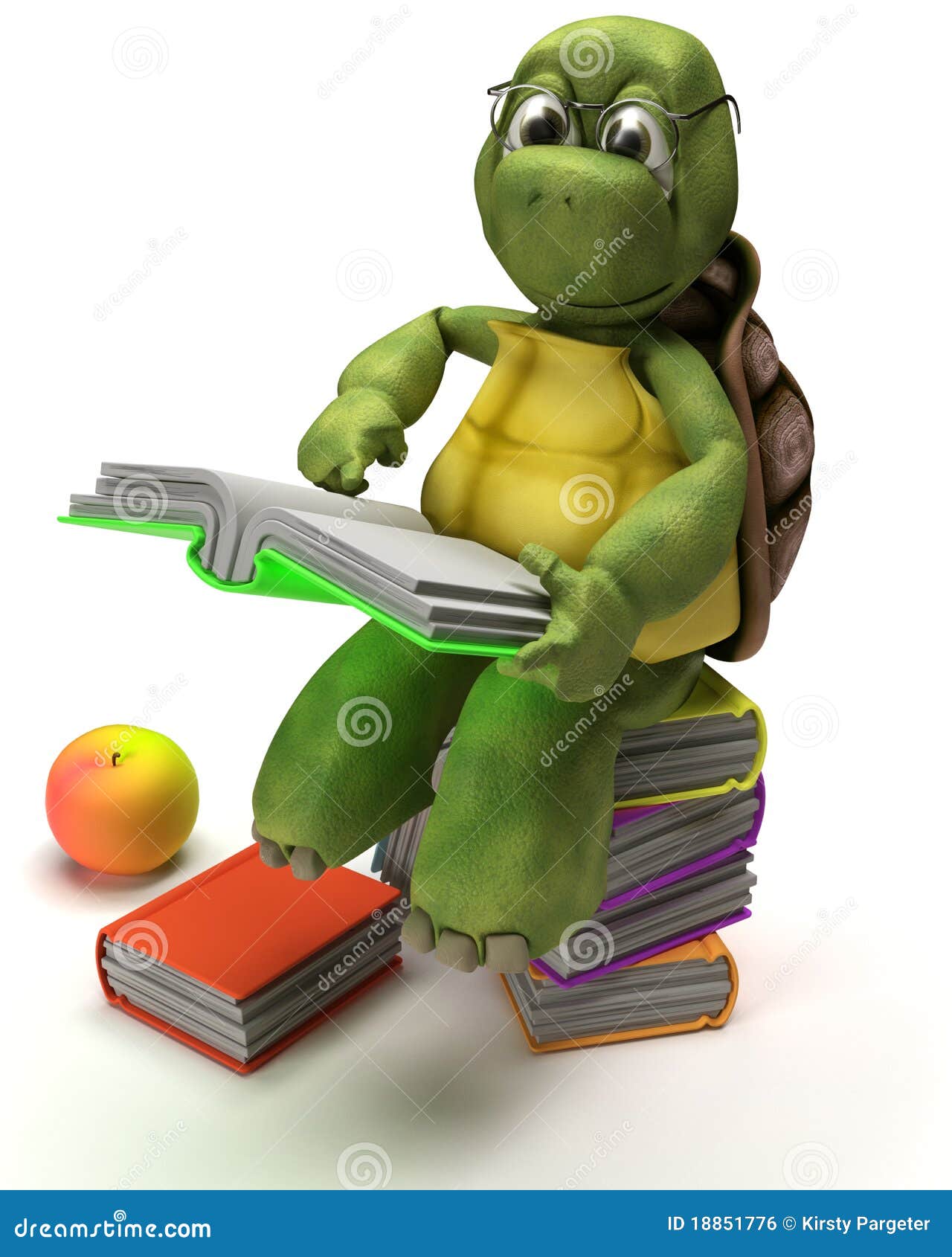 Tortoise Reading A Book Royalty-Free Stock Image | CartoonDealer.com ...