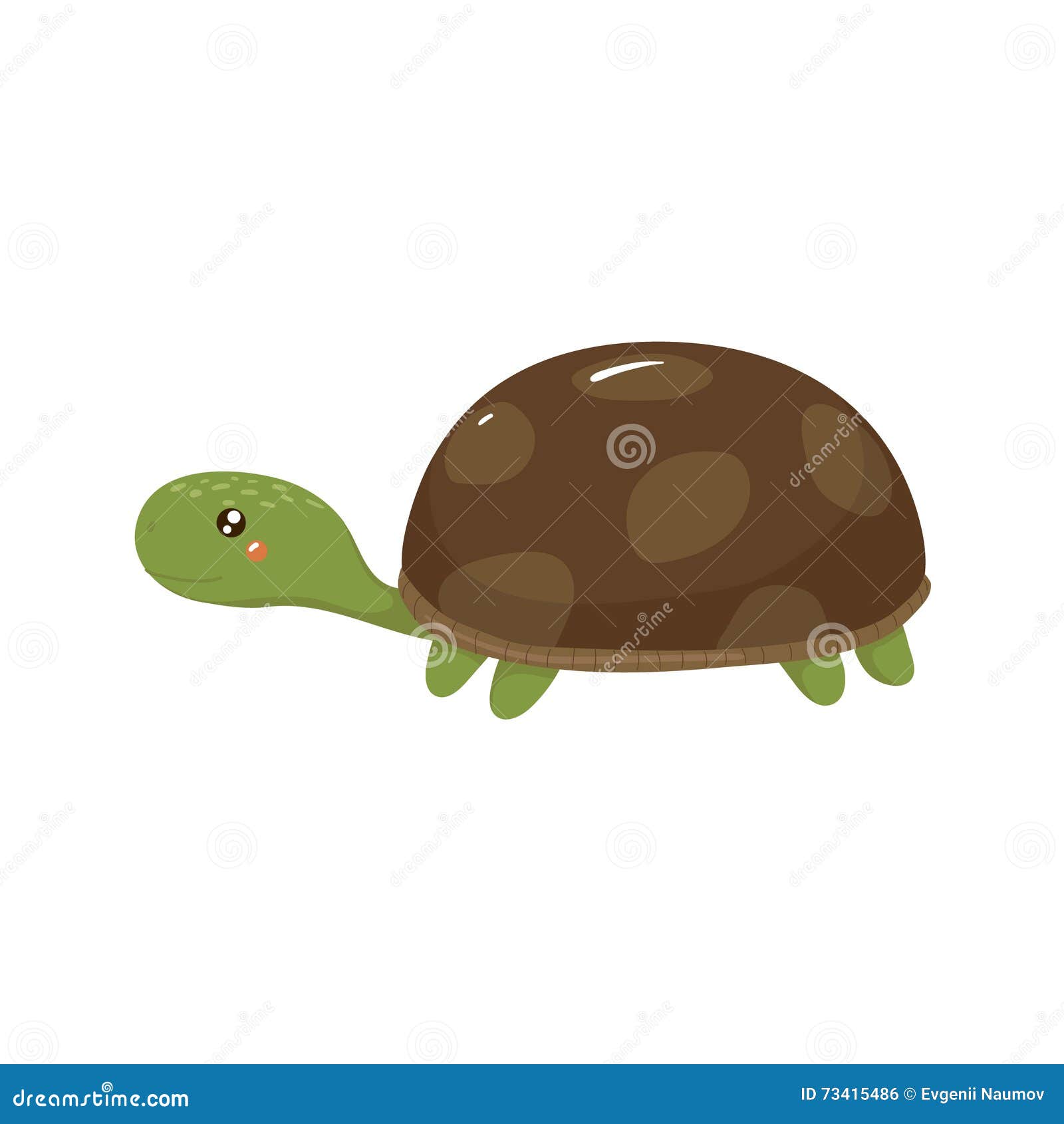 Tortoise Realistic Childish Illustration Stock Vector - Illustration of ...