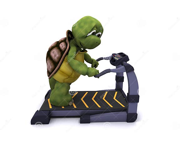 Tortoise Running on a Treadmill Stock Illustration - Illustration of ...