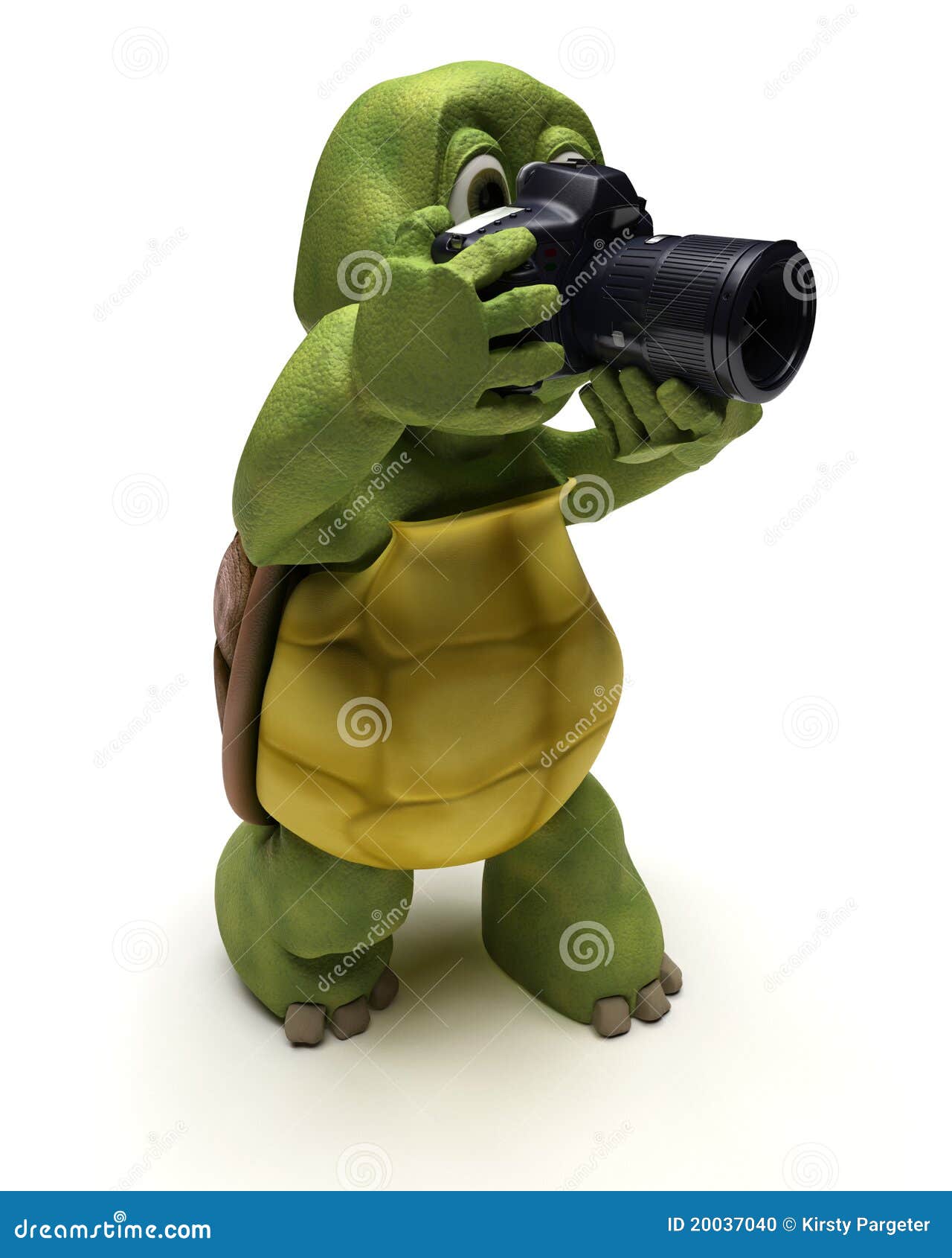 Tortoise with slr camera stock illustration. Illustration of reptile ...