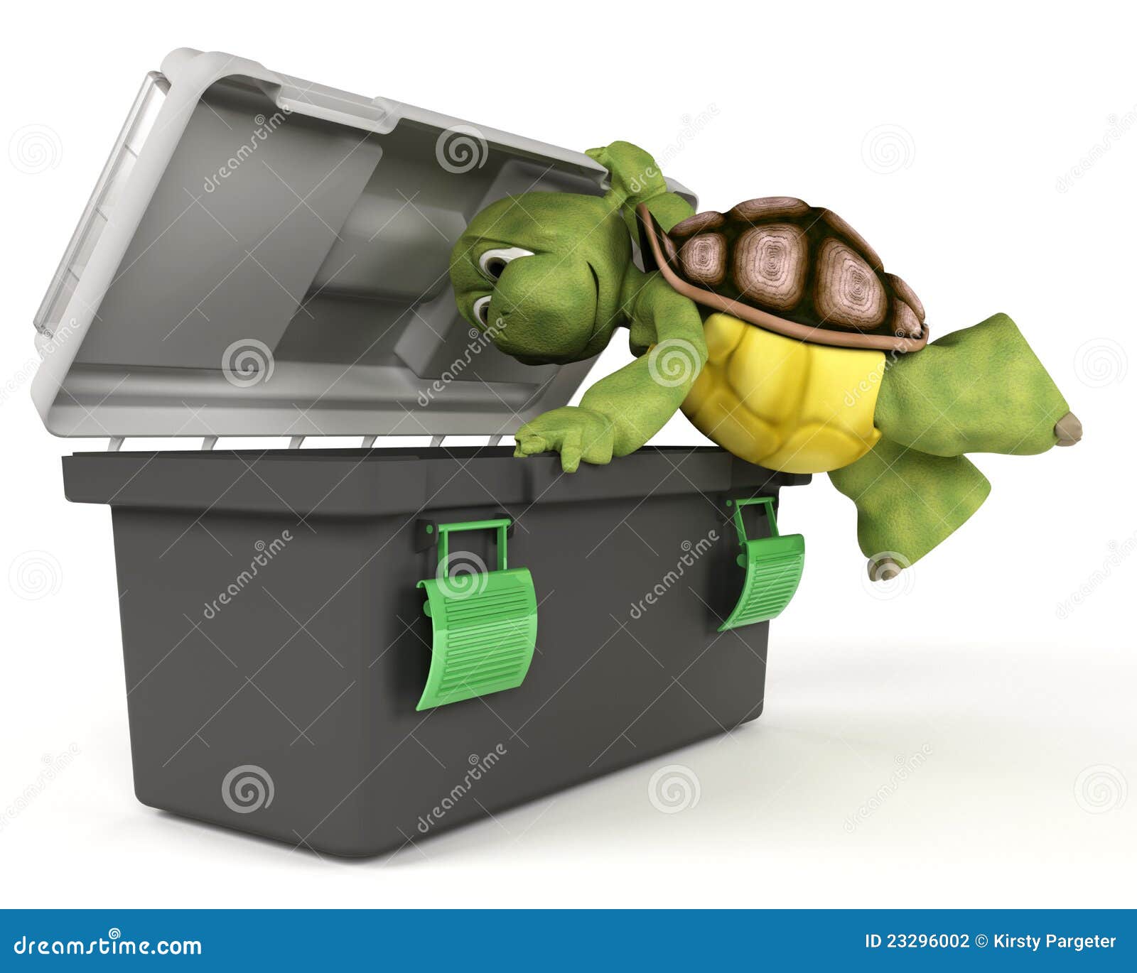 Tortoise with tool box stock illustration. Illustration of ocean - 23296002