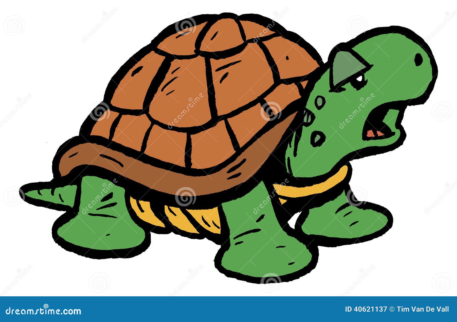 Tortoise / Turtle stock illustration. Illustration of tortoise - 40621137