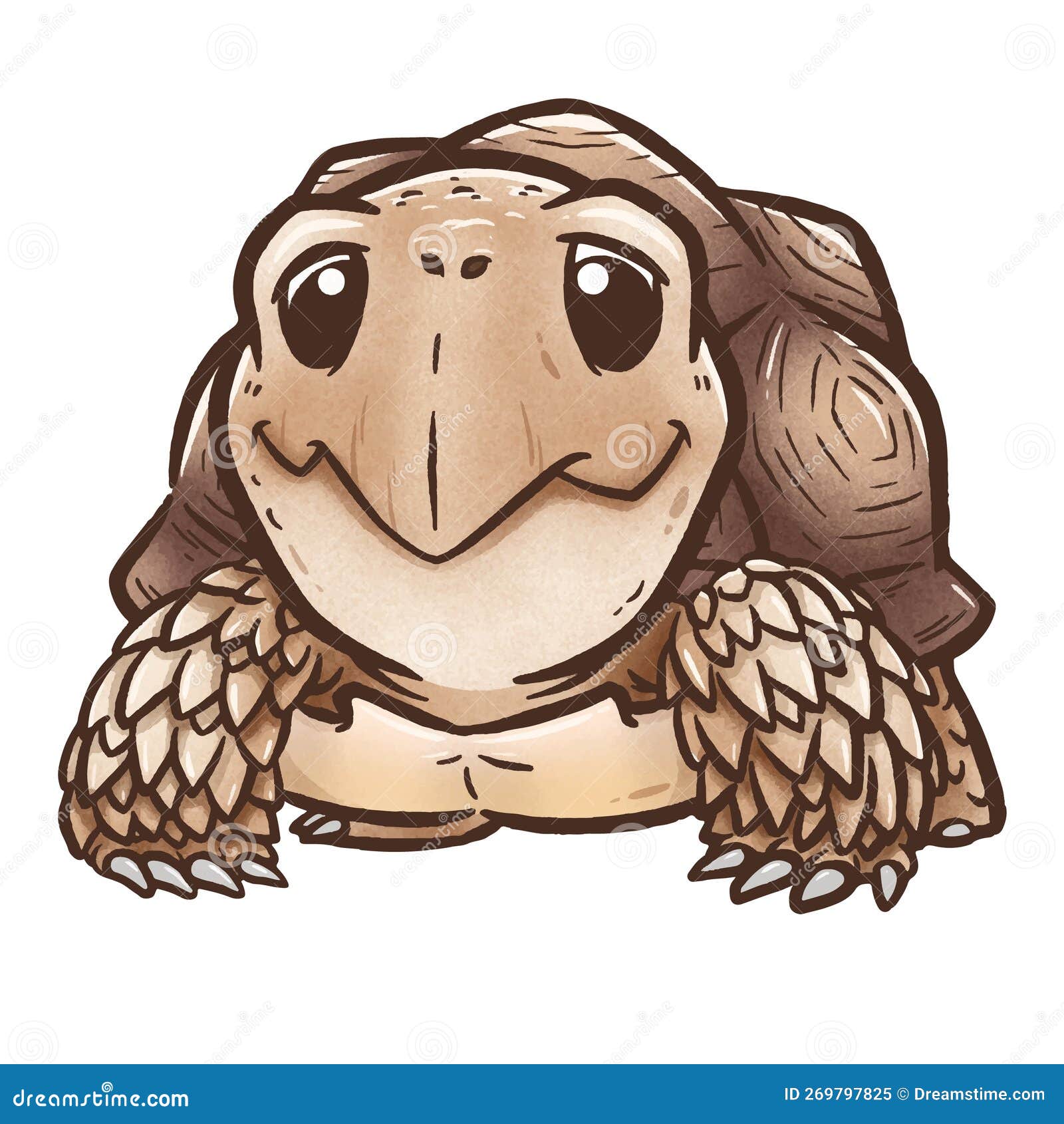 Sulcata Tortoise Cartoon Vector | CartoonDealer.com #70983513