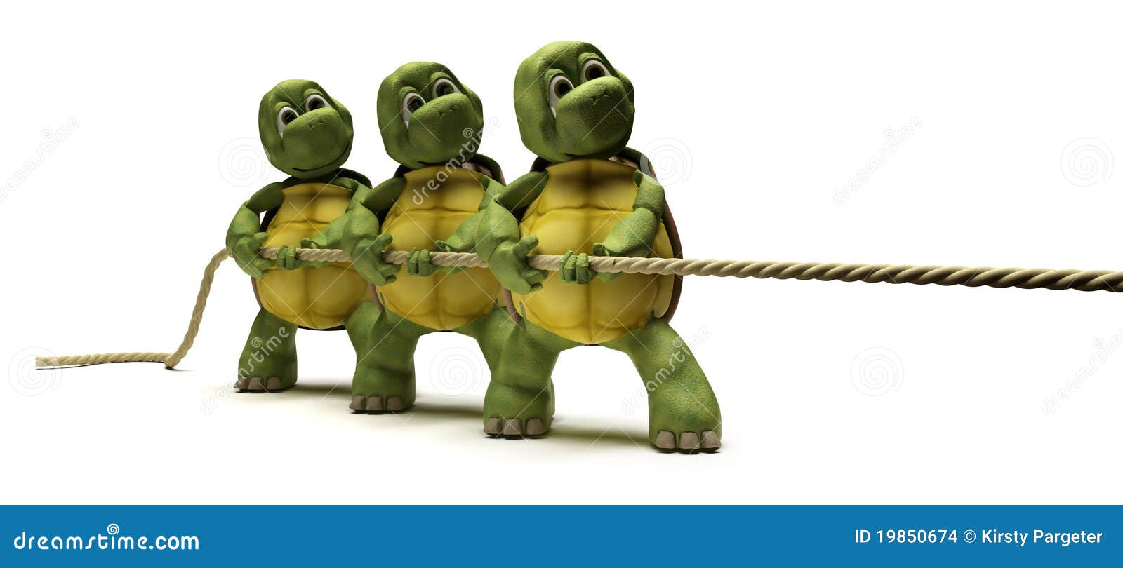 Tortoises Pulling On A Rope Royalty-Free Stock Image | CartoonDealer ...
