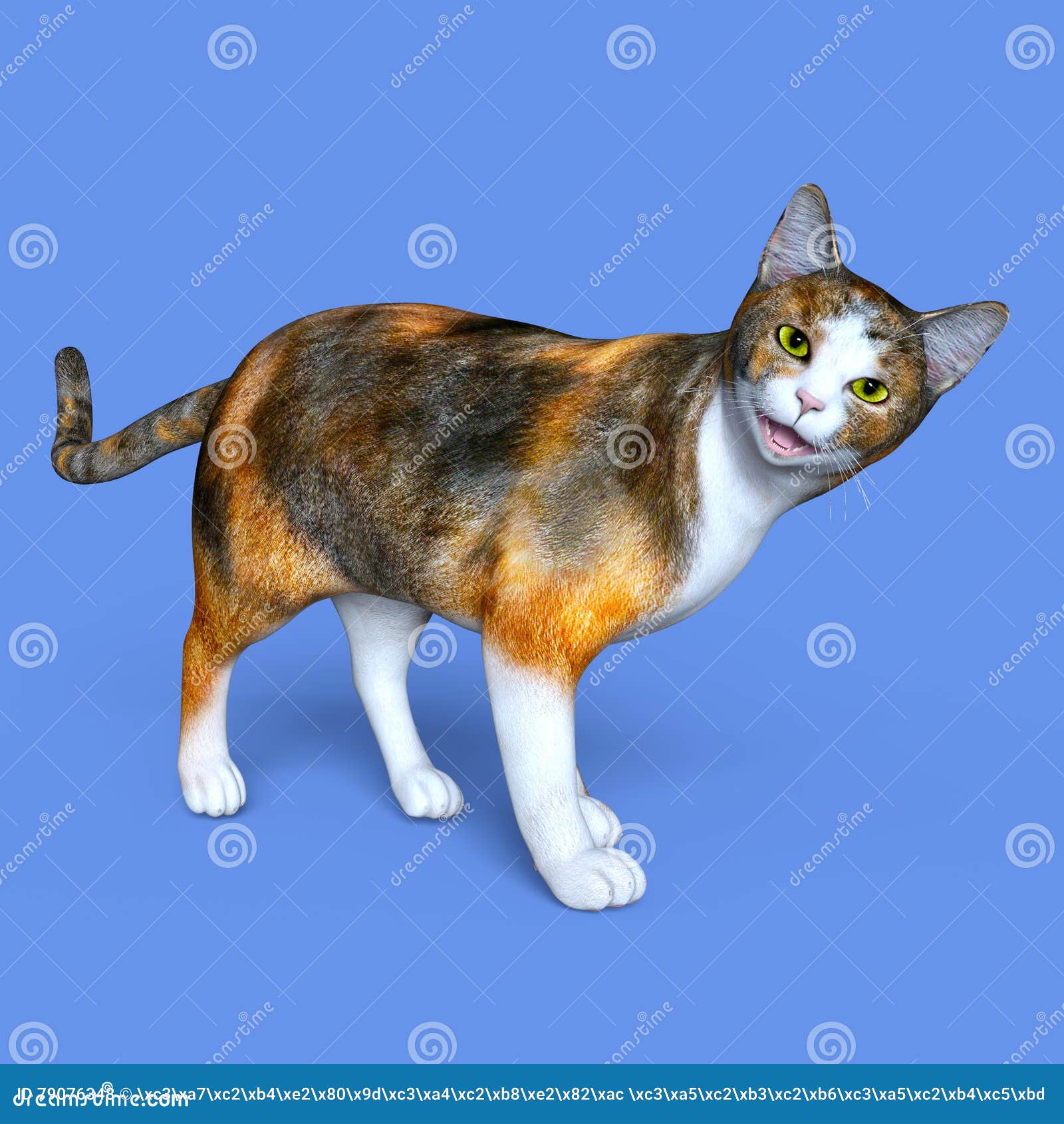 Tortoiseshell cat stock illustration. Illustration of mammals - 79076348